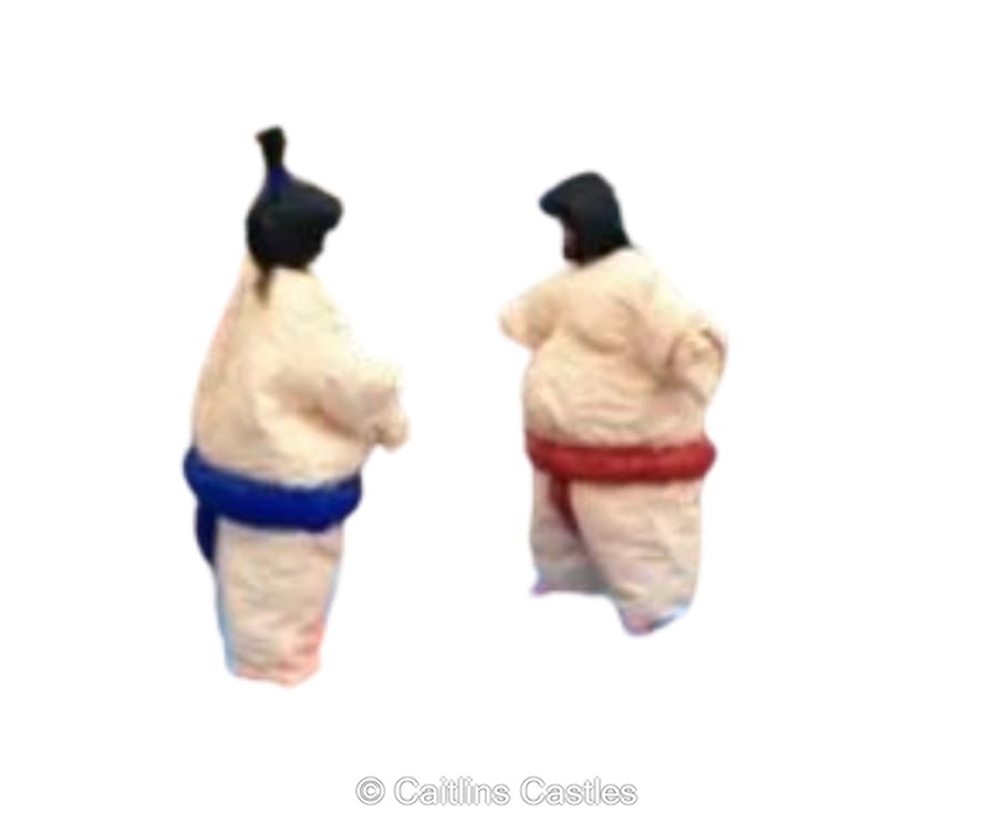 Sumo Suit Hire in Liverpool